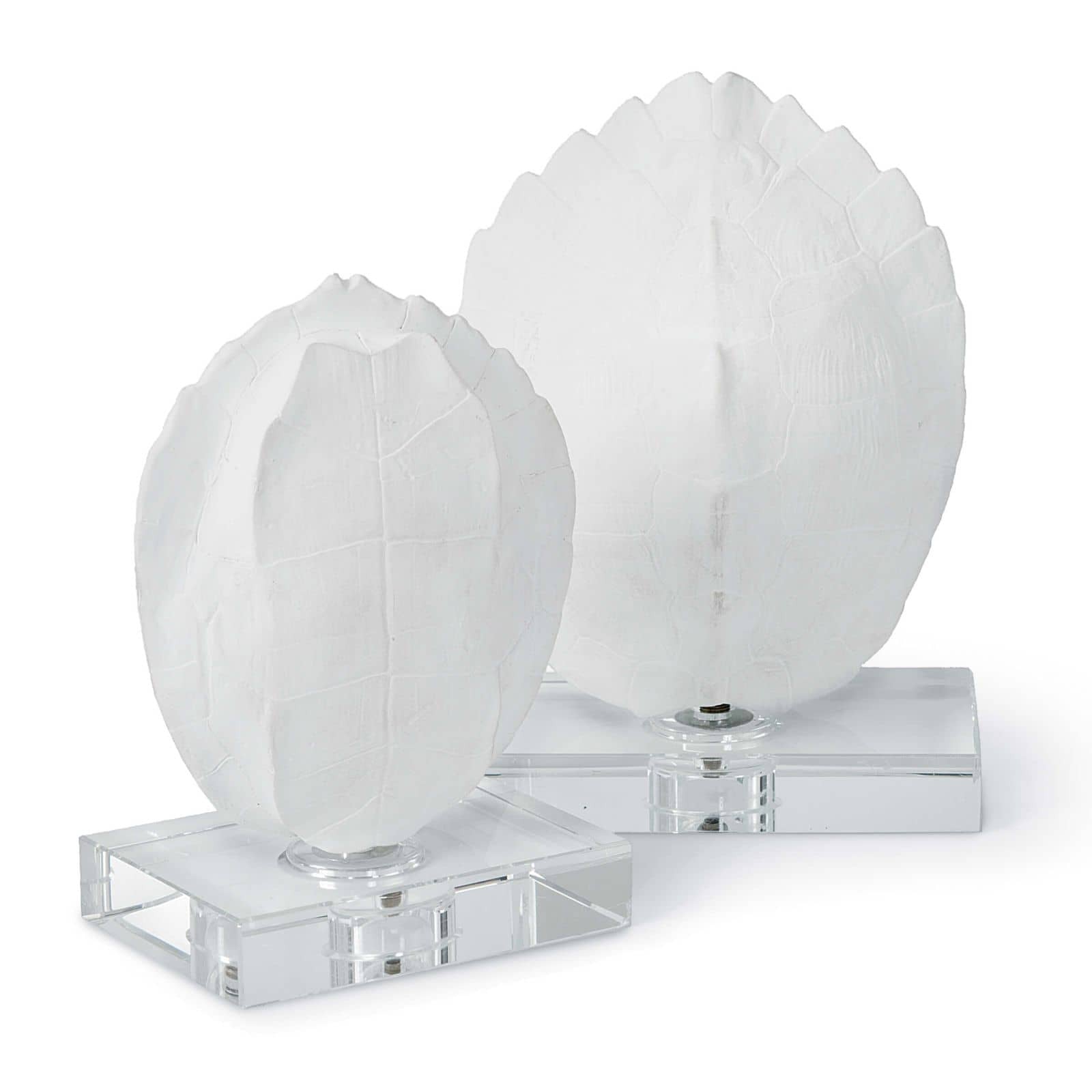 Turtle Shells On Crystal – WittMoore Designs